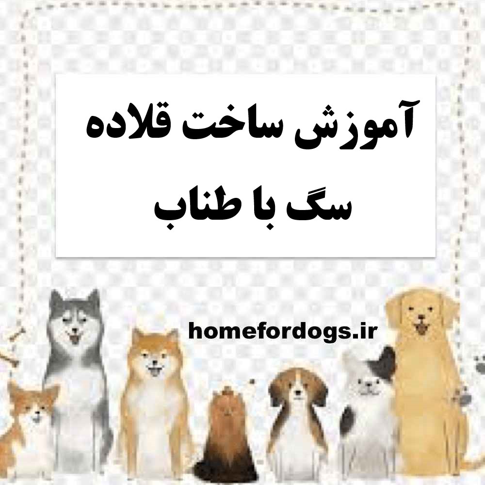 آموزش ساخت قلاده سگ با طناب (با تصاویر و روش آسان!)